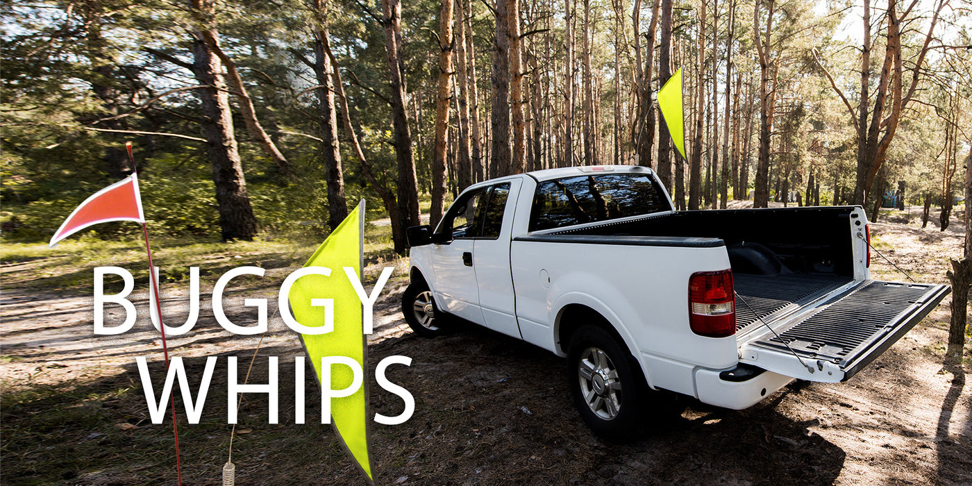 Buggy Whips - Direct Signs