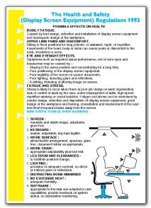 The Health and Safety (Display Screen Equipment) Regulations 1992 ...